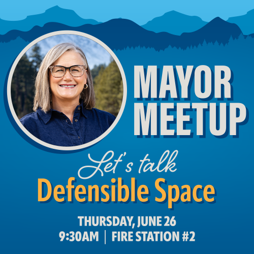 Next South Lake Tahoe Mayor Meetup to focus on defensible space and ...