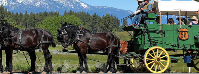 77th anniversary run of the Highway 50 Association Wagon Train starts ...